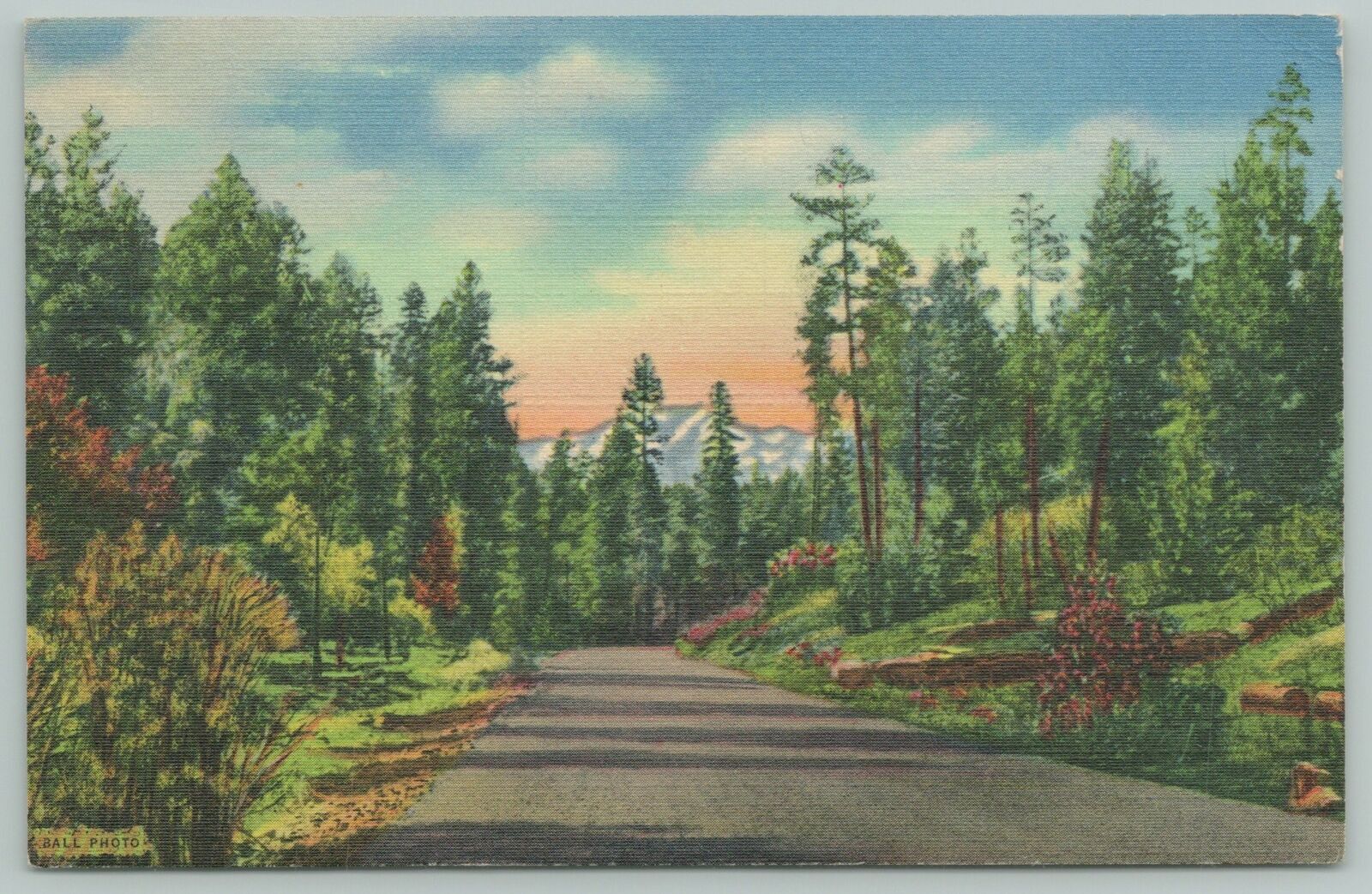 Roswell New Mexico~Mescalero Apache Indian Reservation~1940s Linen ...