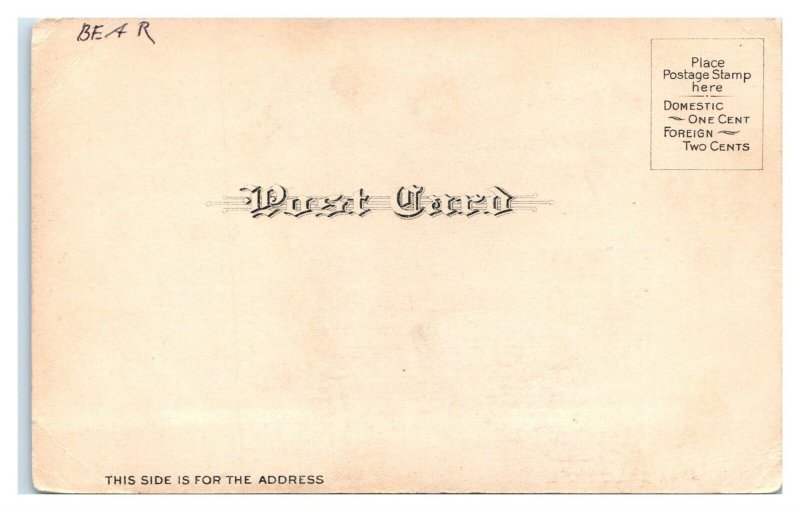 Monarch the Grizzly Bear, Golden Gate Park, San Francisco, CA Postcard ...