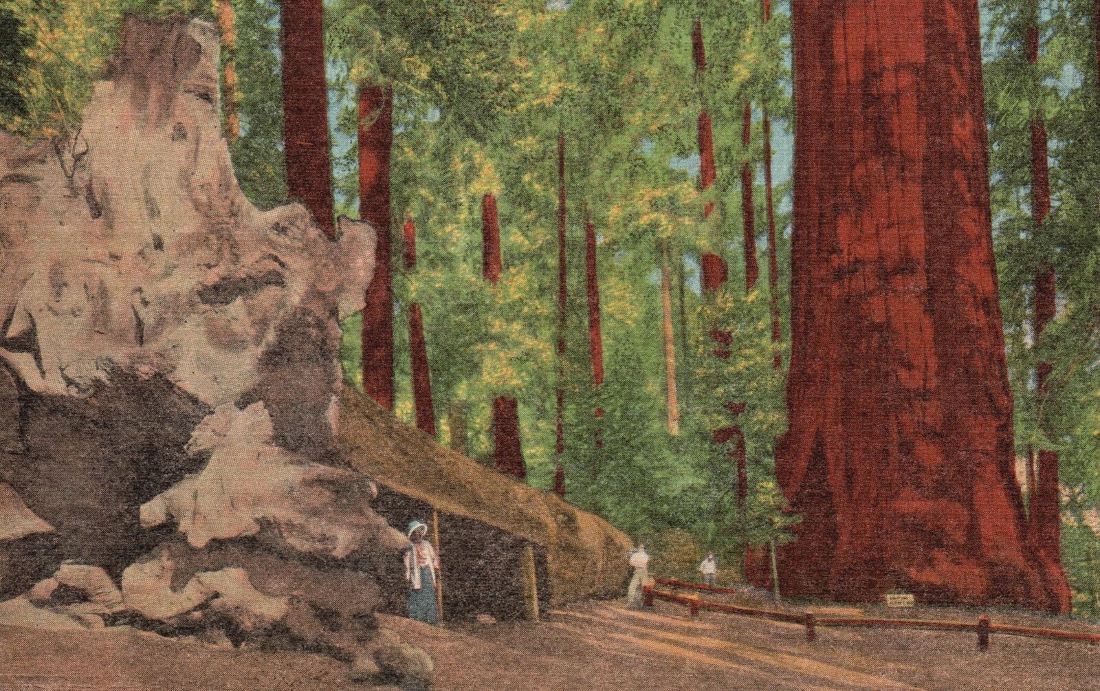 Vintage Postcard 1947 Robt. E. Lee Tree Fallen Monarch Gen. Grant ...