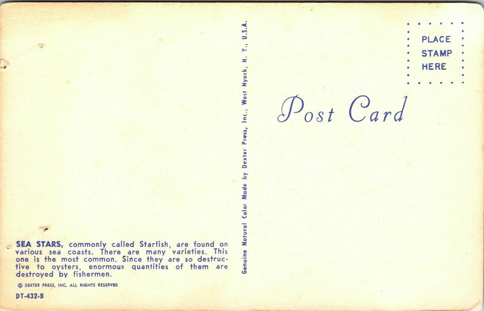 Stars of the Sea Starfish Postcard Dexter VTG UNP Vintage Unused ...