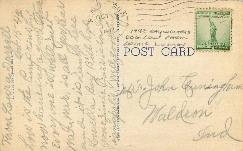 Artist Indiana Comic humor Dog Ray Walters 1942 Postcard Teich linen ...