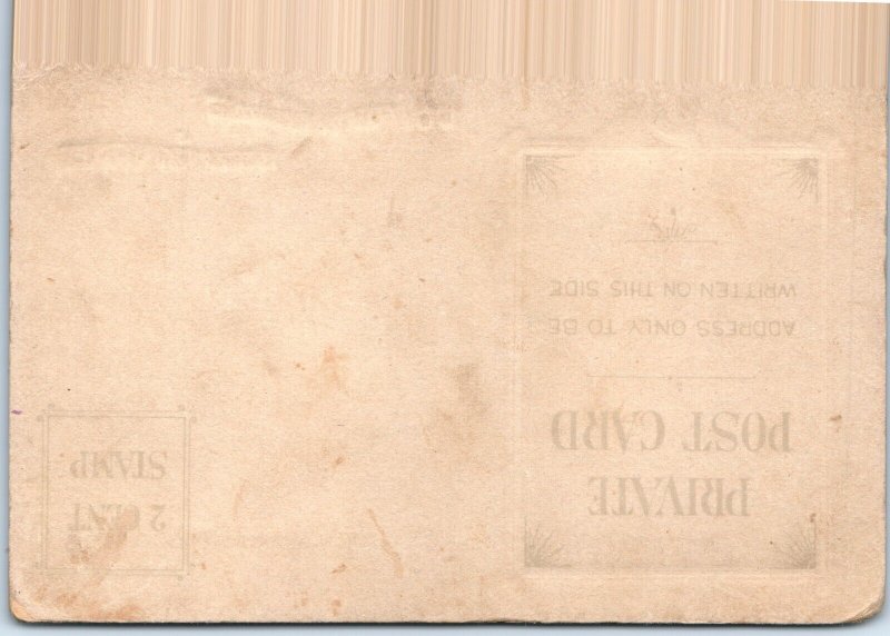 RARE 1900s Real Photo Cabinet Card Girls Cardboard Private Picture ...