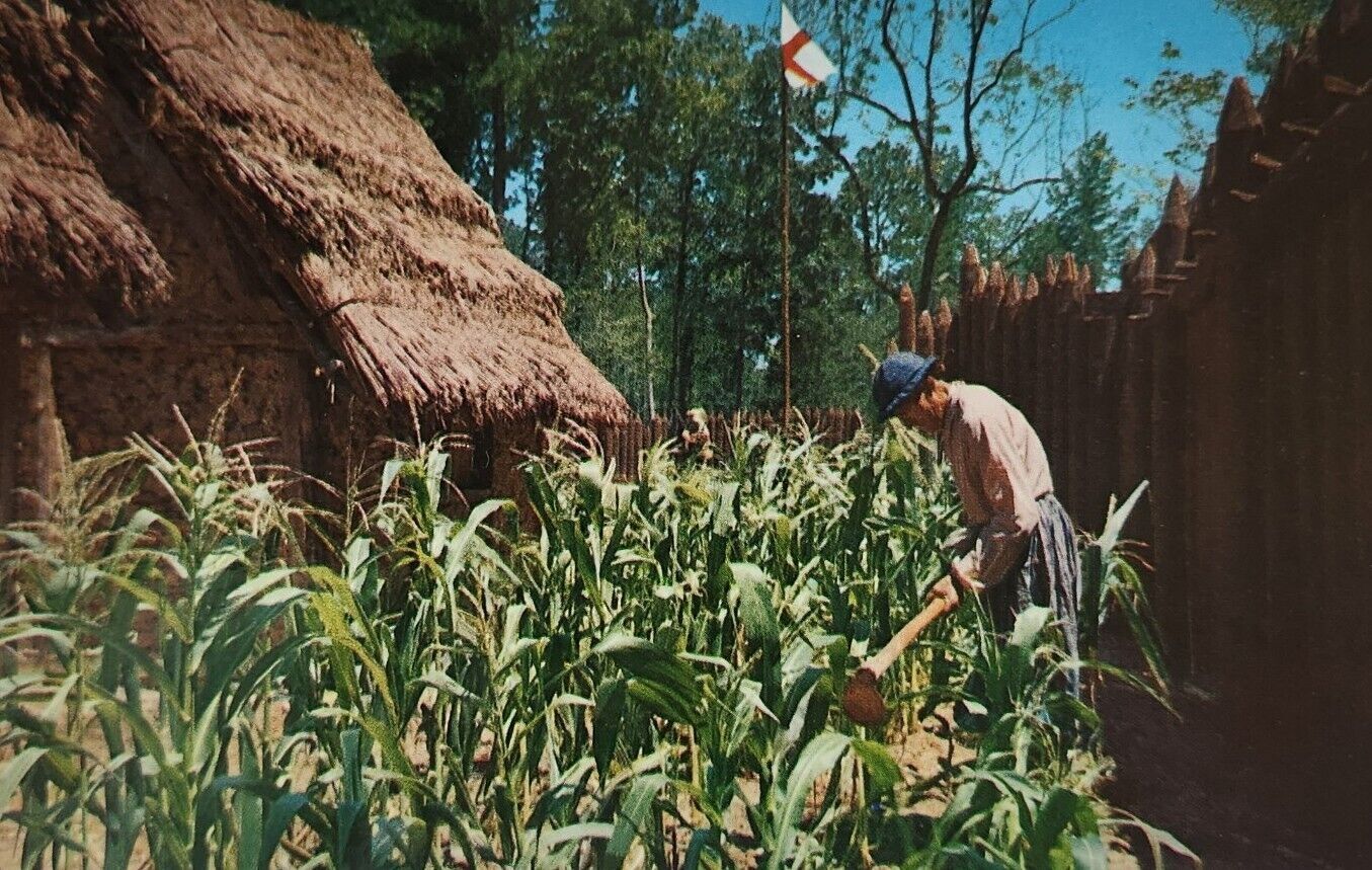 James Fort Corn Patch Cabin Stockade Jamestown VA Postcard | United ...