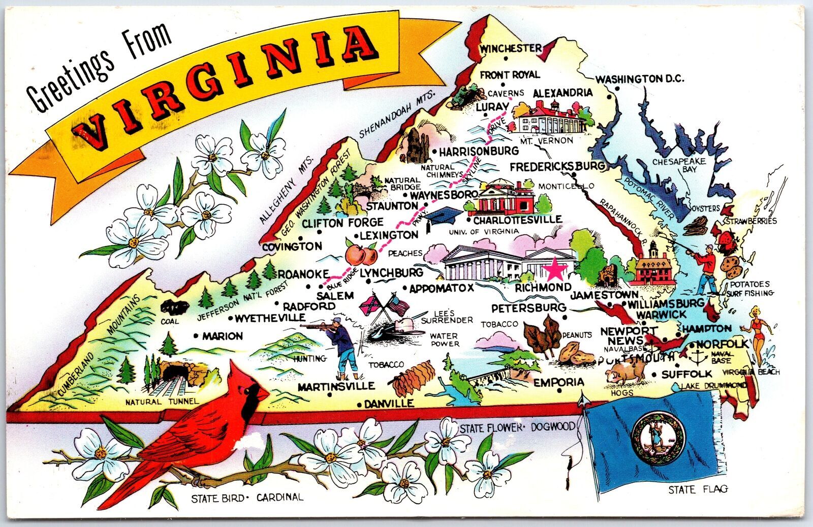 Vintage Postcard MAP of Virginia Cardinal State Bird and Flag Posted ...