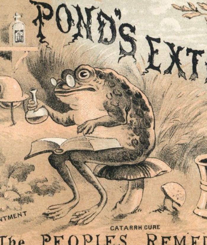 1870s-80s Pond's Extract Quack Medicine Anthropomorphic Frogs Toads ...