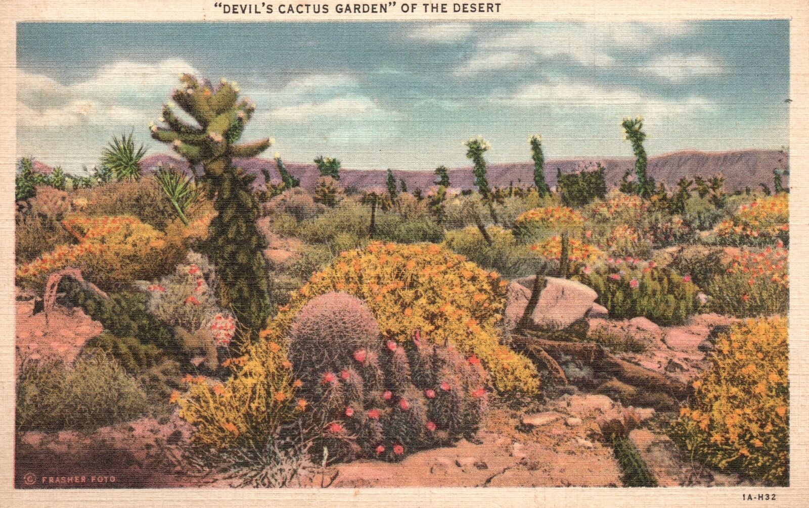 Vintage Postcard 1930's Devils Cactus Garden Of The Desert Landscape ...