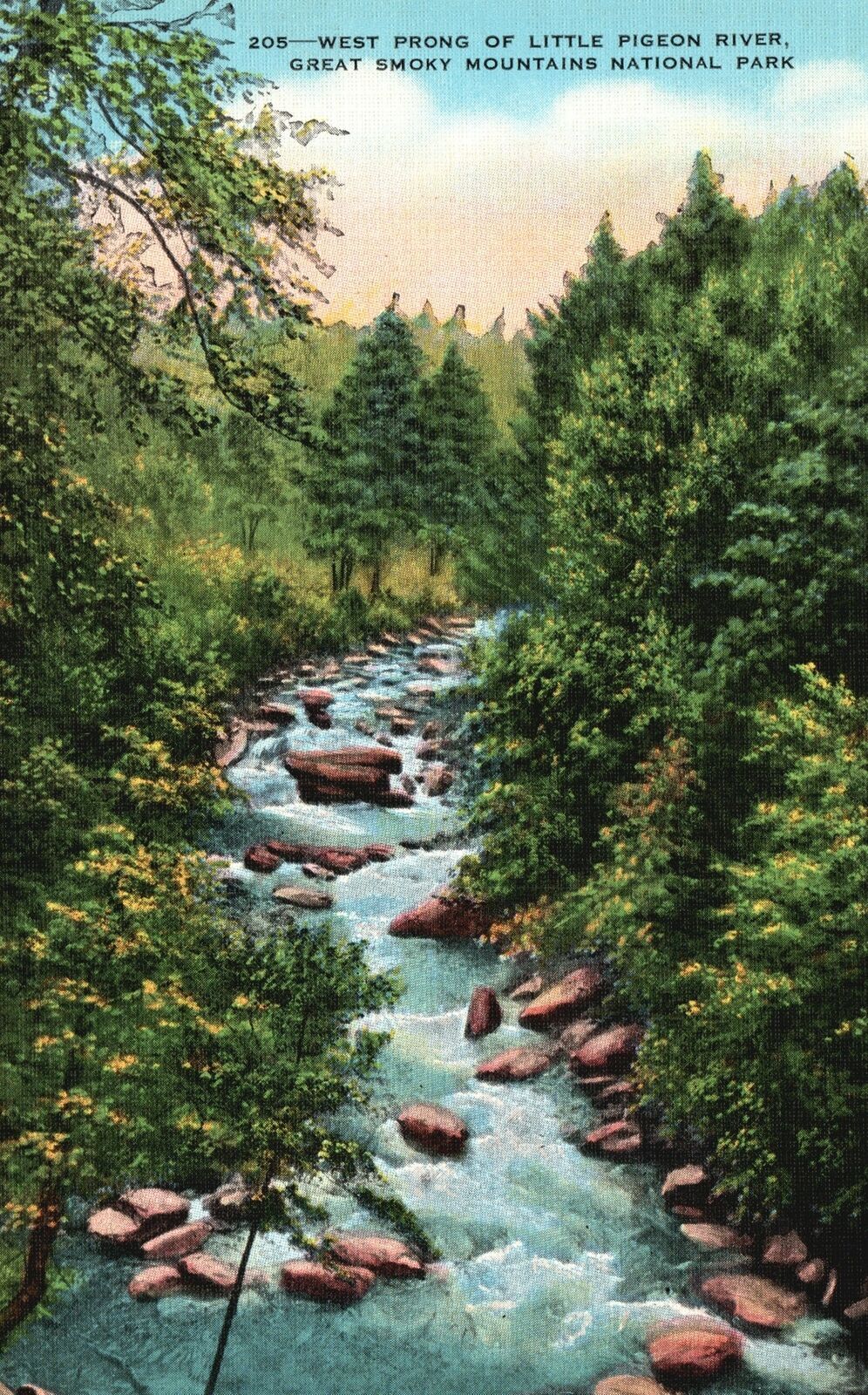Vintage Postcard West Prong Little Pigeon River Great Smoky Mountains ...