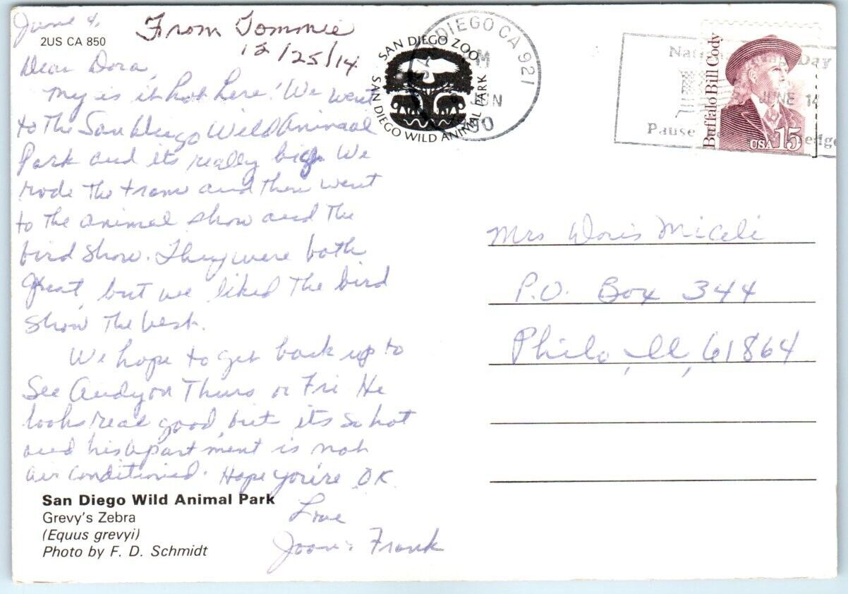 Postcard - Grevy's Zebra, San Diego Wild Animal Park, California, USA ...