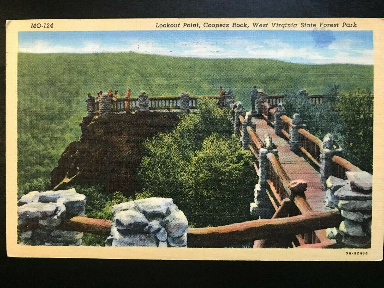 Vintage Postcard 1944 Lookout Point Coopers Rock WV Forest Park ...