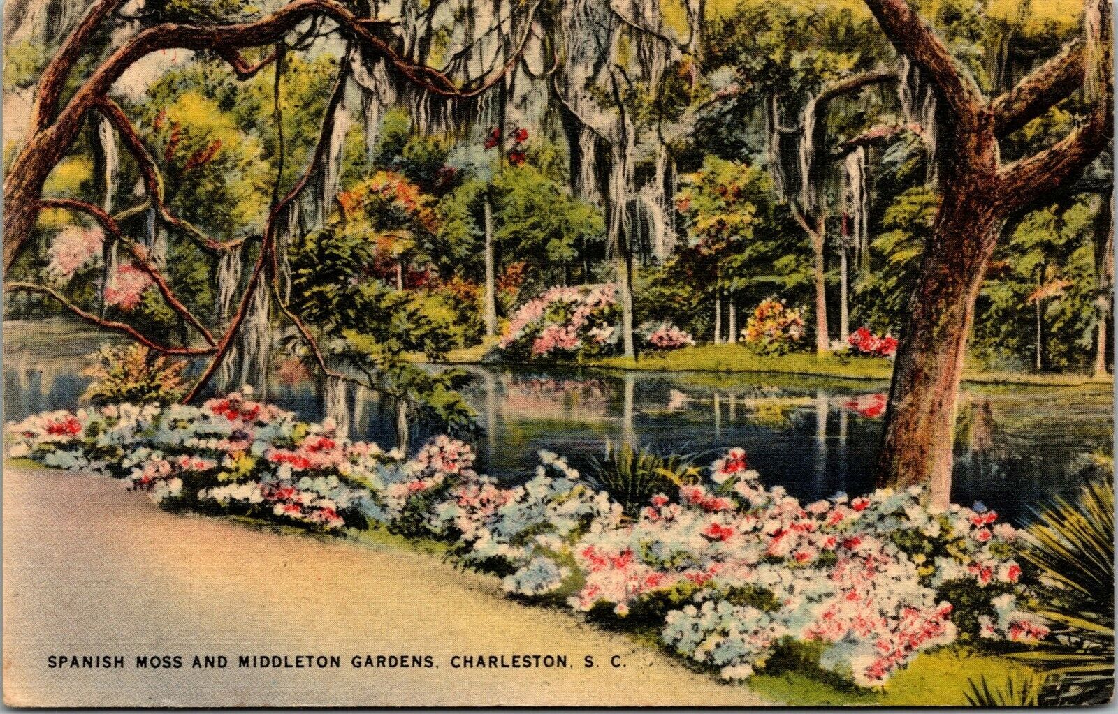 Vtg Charleston South Carolina SC Spanish Moss Middleton Gardens 1940s ...