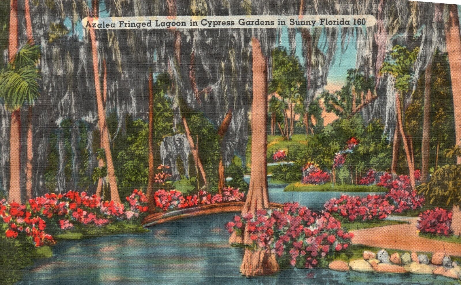 Vintage Postcard 1952 Azalea Fringed Lagoon in Cypress Gardens Sunny ...