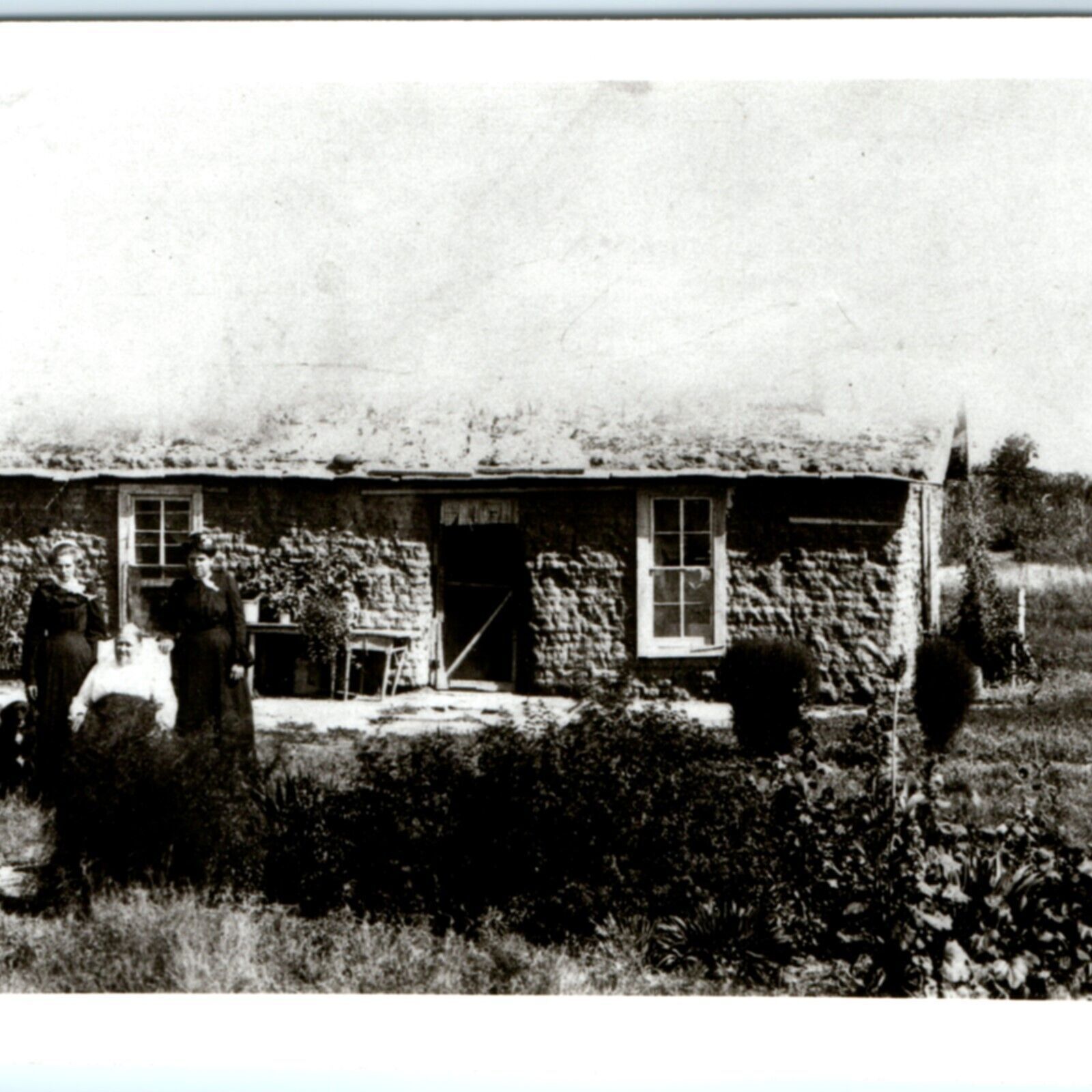 c1910s Pioneer Family Sod House RPPC Prairie Soddie Frontier Real Photo ...