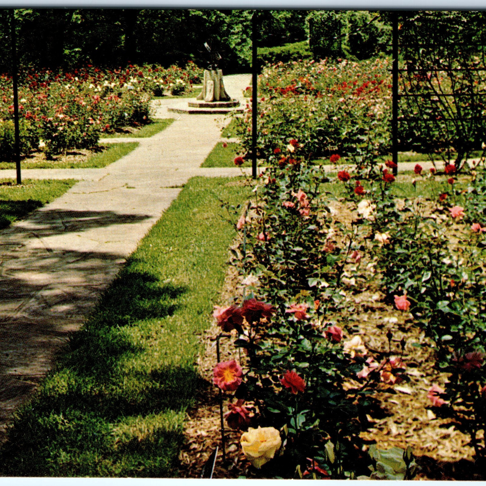 c1960s Des Moines, IA Rose Garden Art Center Downtown Landscaping ...