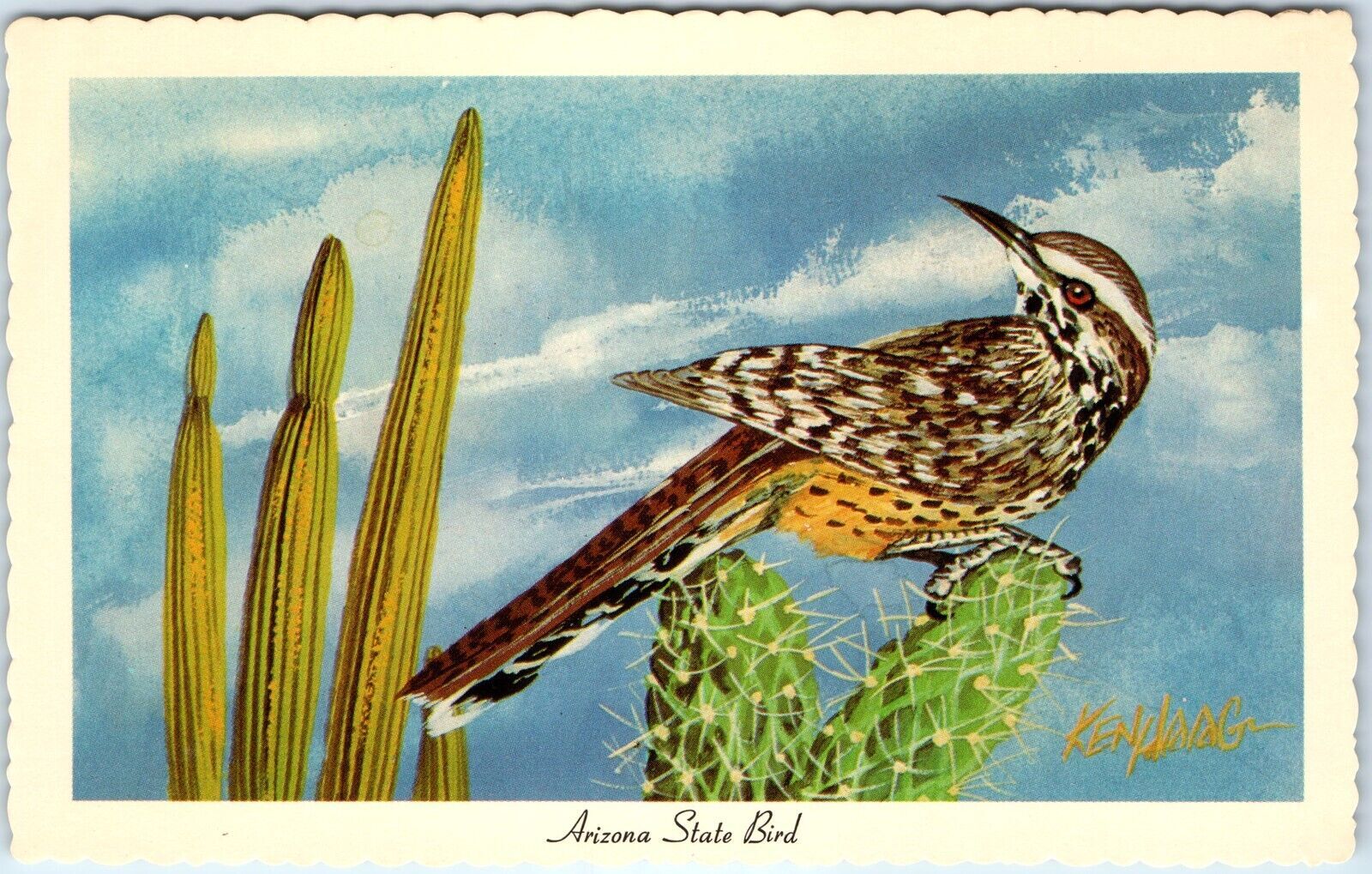 1967 AZ Arizona State Bird Cactus Wren Desert Scene Ken Haag Painted ...