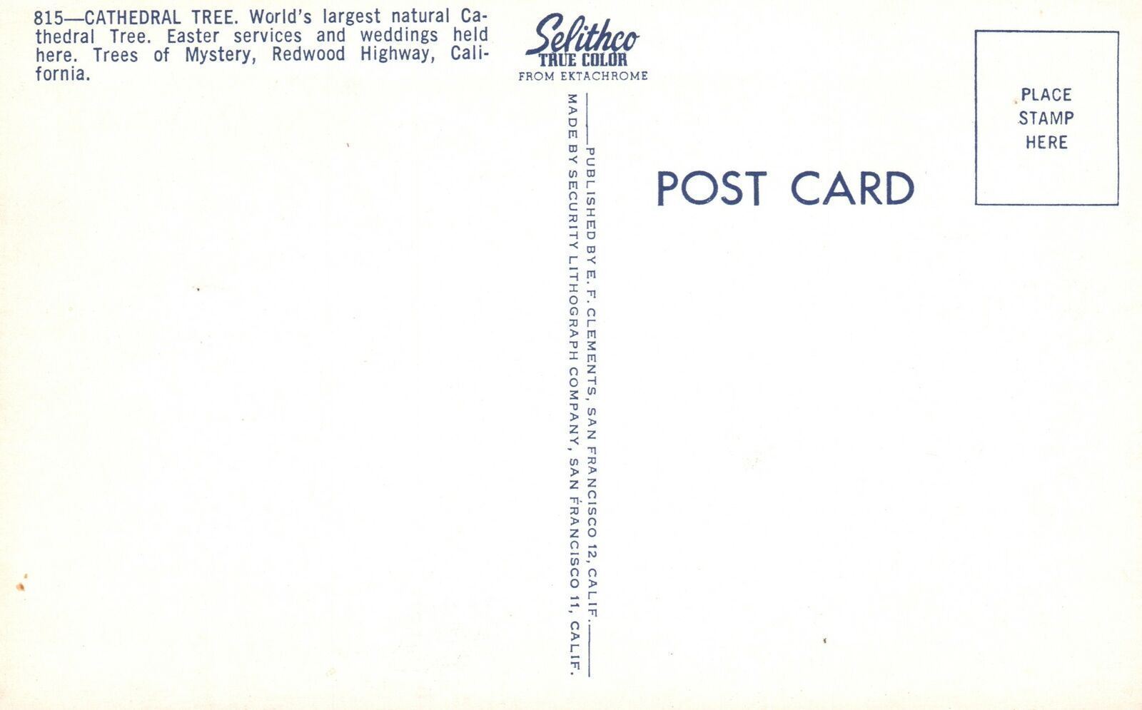 Vintage Postcard World's Largest Natural Cathedral Tree Redwood ...