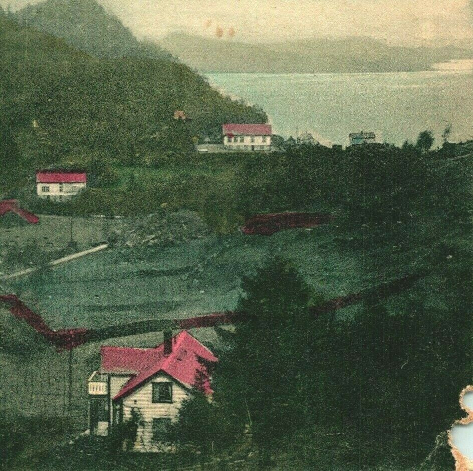 Vintage Cartolina 1910s Hjelvik Norvegia Osterfjorden Bird's Eye Vista ...