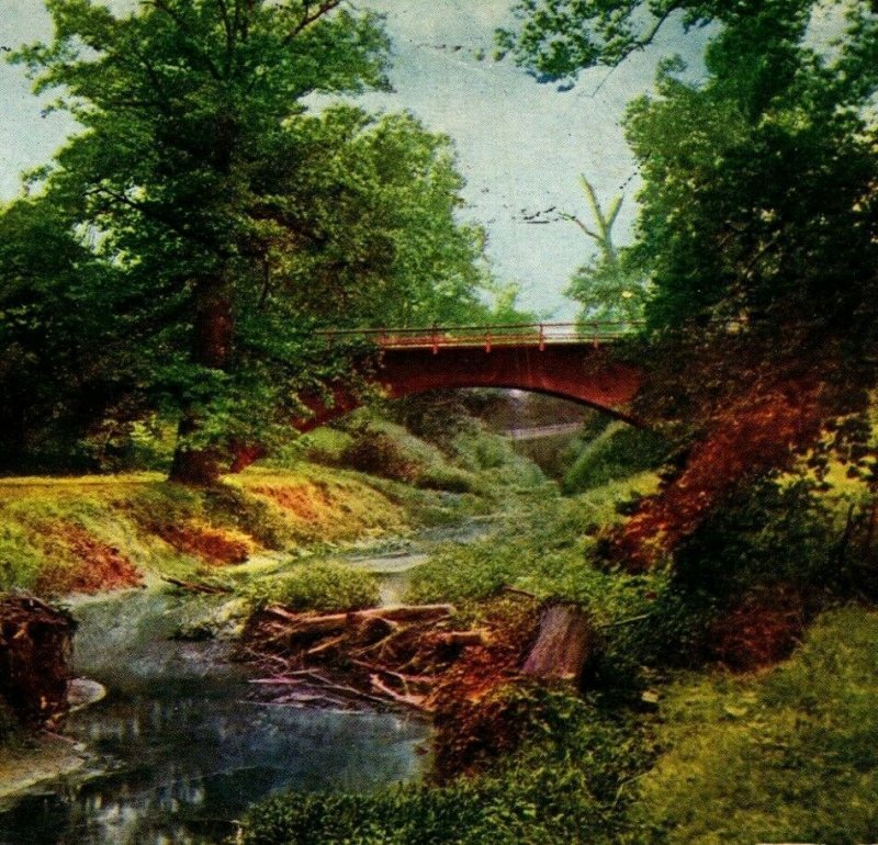 Bridge Scene In Forest Park St Louis Missouri MO 1910 DB Postcard ...