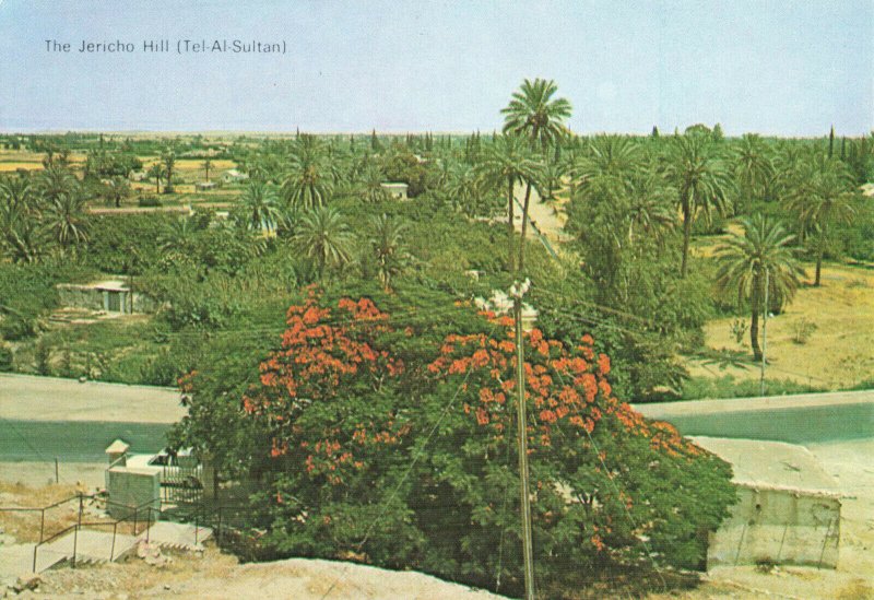 The Jericho Hill (Tel-Al-Sultan), Israel, Palestine Rare Picture ...