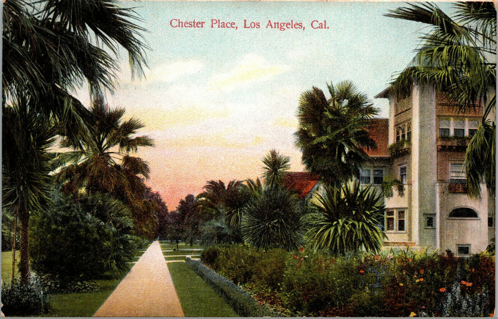 Vtg 1910s Chester Place Homes Palm Trees Los Angeles California CA ...