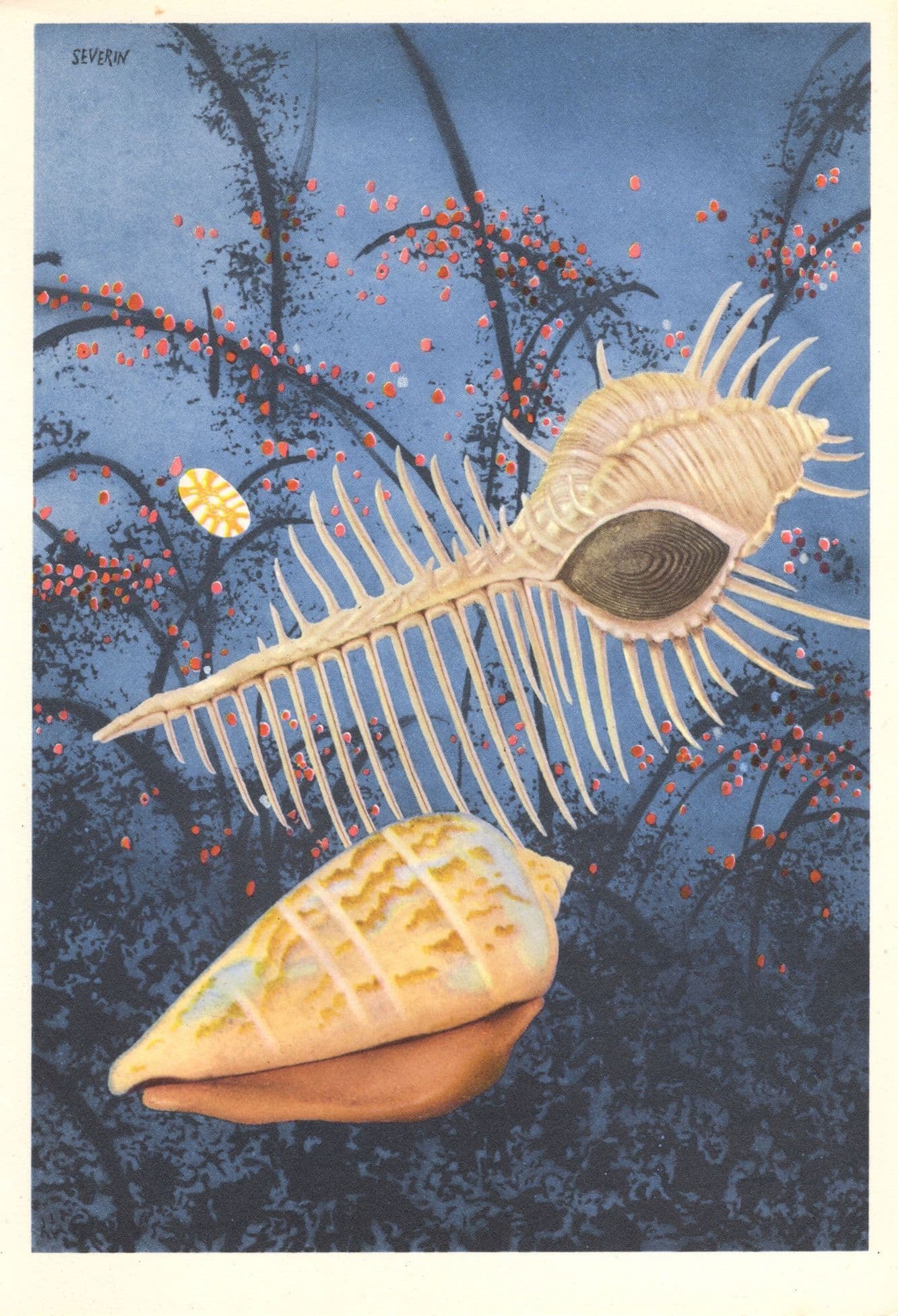 SS Oriana 1964 Rock Shell Fish Cruise Ship Menu | Topics - Animals ...