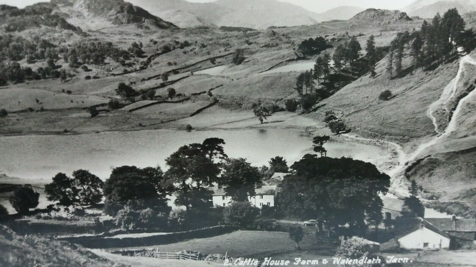 Vintage Rp Postcard Cattle House Farm Watendlath Farm Real Photo ...