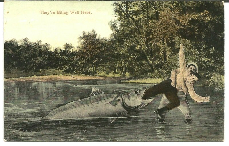 Postcard Exaggeration Fish Eating Man They're Biting Well Here Posted ...