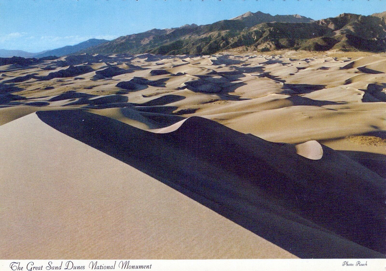 Vintage Continental Size Postcard the Great Sand Dunes National ...
