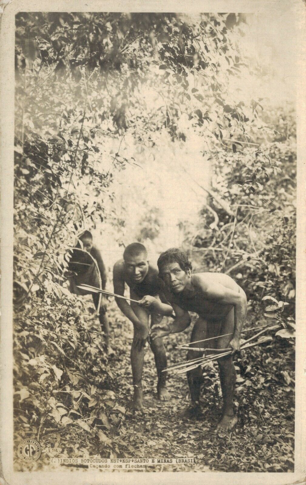 Brazil Indios Botocudos Est Esp Santo Minas Cacando flechas Ethnic RPPC ...