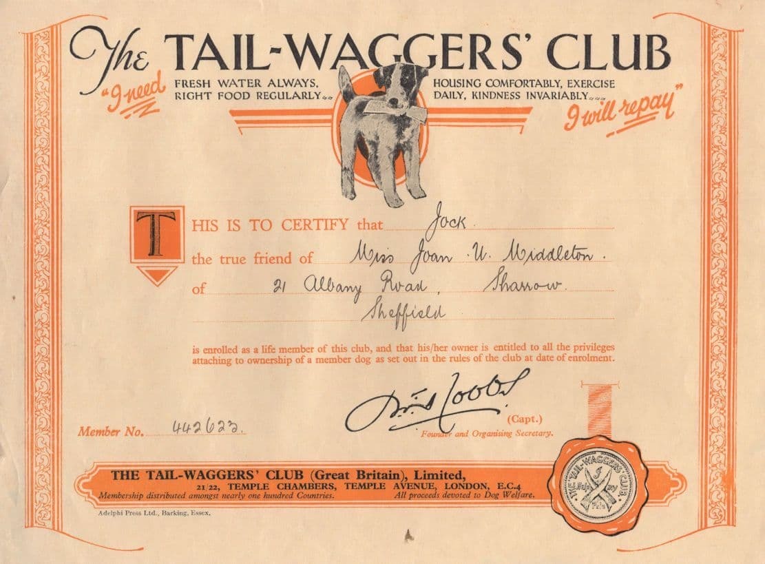 Tail Waggers Club 1930s Vintage Sheffield Dog Owners Certificate ... Tail Waggers Club 1930s Vintage Sheffield Dog Owners Certificate ...