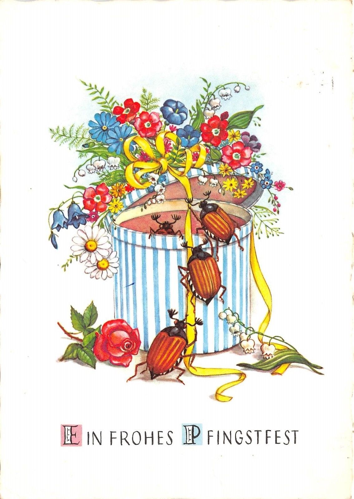 BG14955 beetle flower rose pfingsten pentecost germany | Topics ...