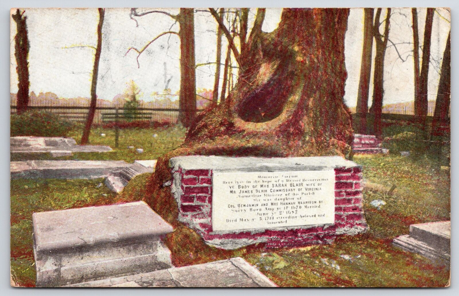 Graveyard At Jamestown Showing Old Sycamore Tree Virginia VA Postcard ...