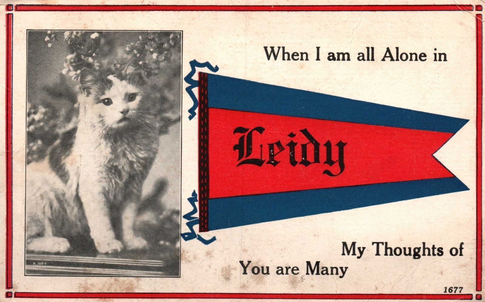 Vintage Postcard 1913 Cat Animal When I am all Alone in Leidy ...