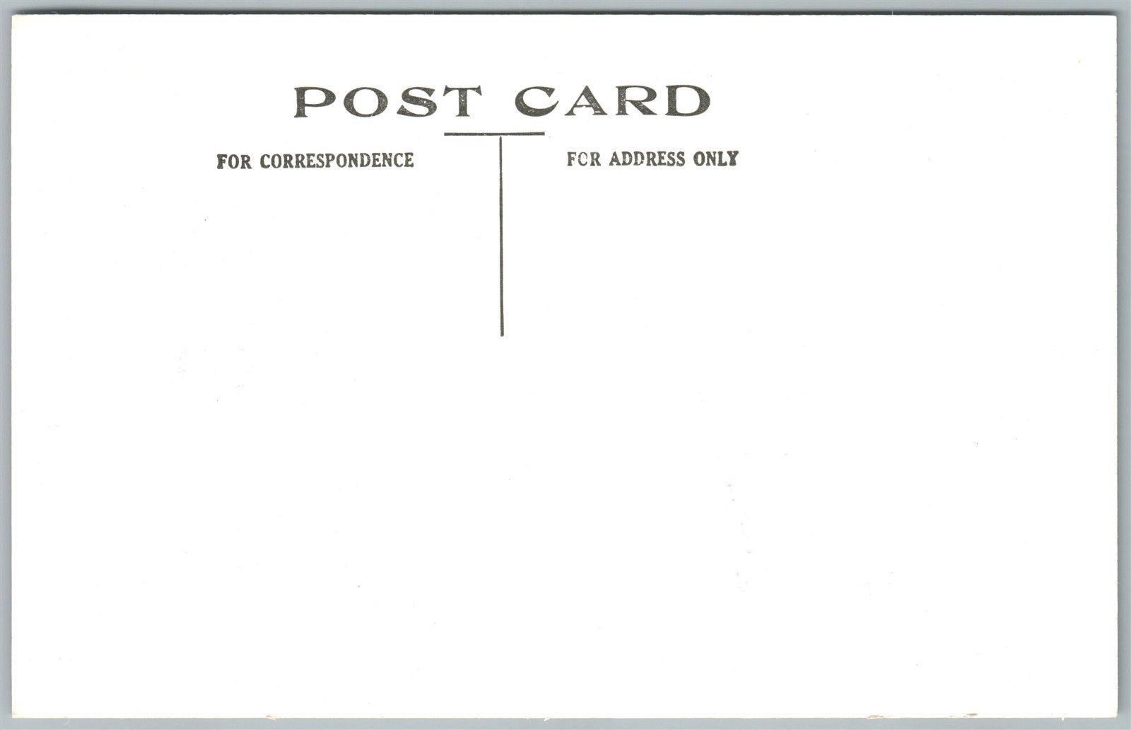 Exaggerated Antique Postcard Parsnips Grown ARE Wonders | Other ...