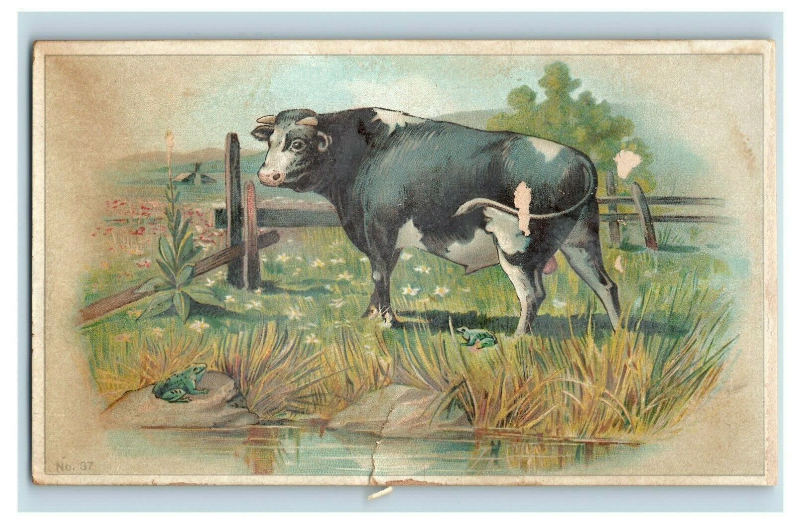 1870's-80's Edward Rose Custom Tailors Chicago Frog Bull Trade Card F30 ...