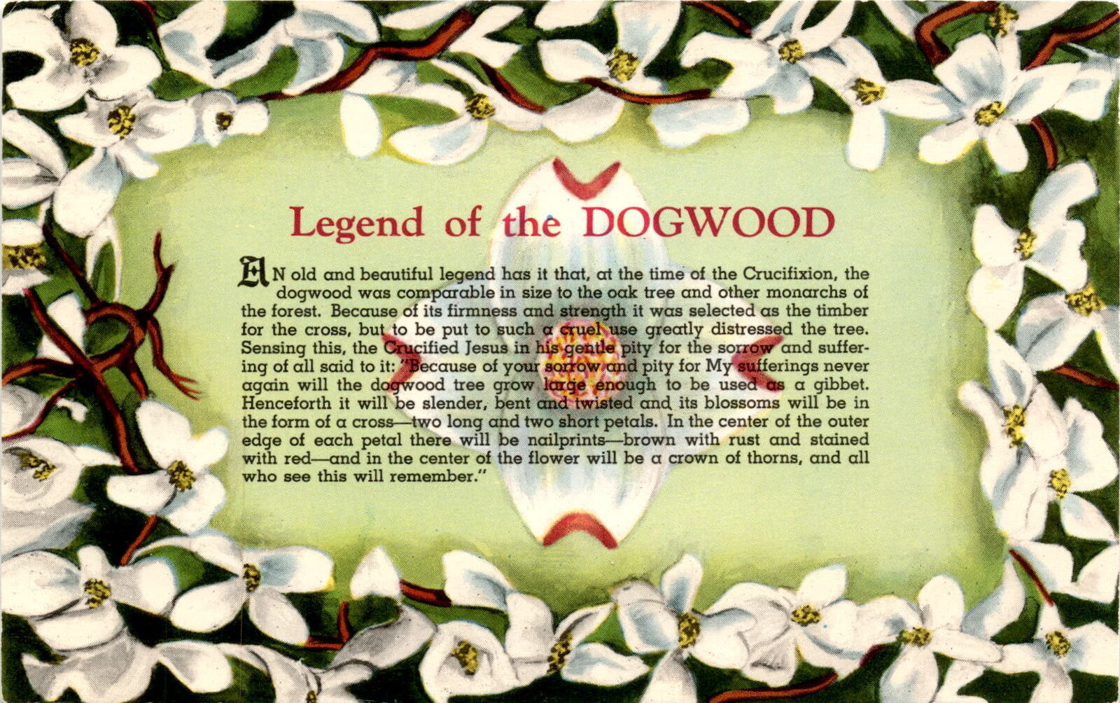 Dogwood tree Crucifixion of Jesus Oak tree United States South Po ...