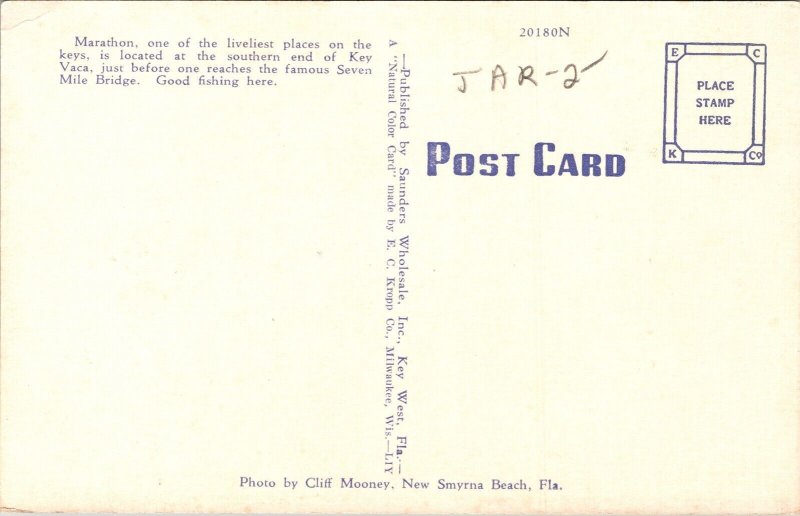 Marathon Key Streetview Key West Florida Tropical Landscape Postcard ...