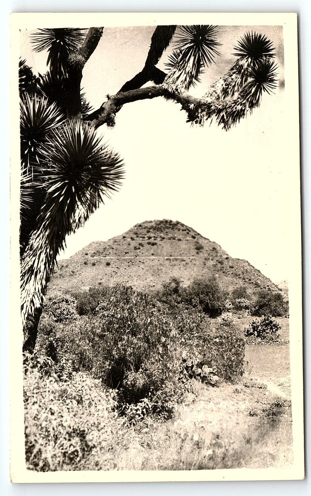 1930s Teotihuacan Aztec Pyramid of the SUN Mexico Kodak Rppc Postcard ...