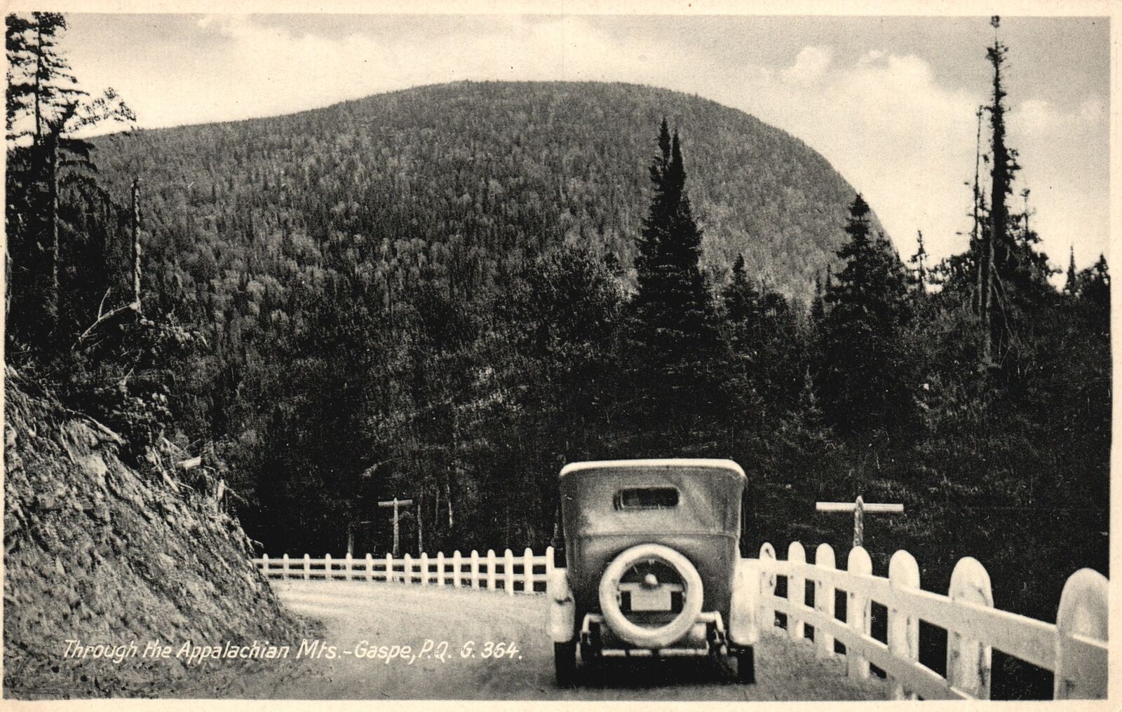 Vintage Postcard Through the Appalachian Mountains Gaspe P.Q. Quebec ...