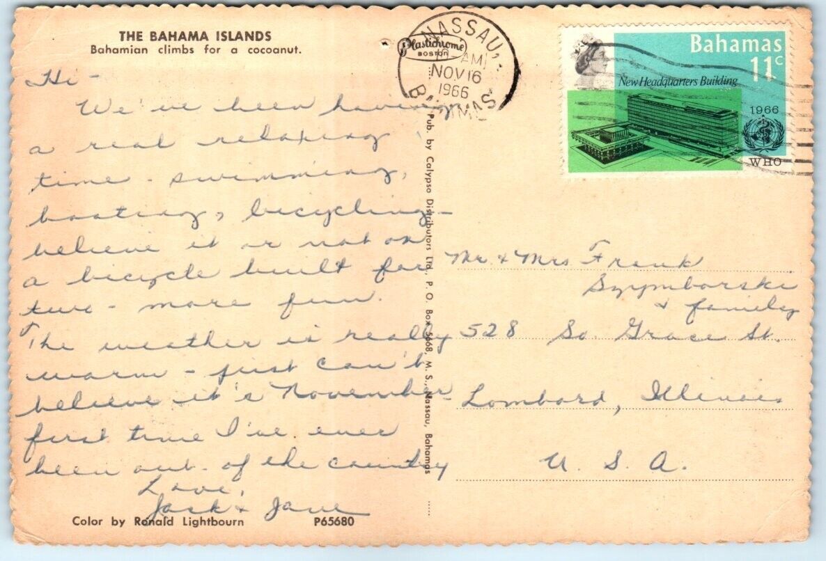 Postcard - Bahamian climbs for a cocoanut, The Bahama Islands - Bahamas ...