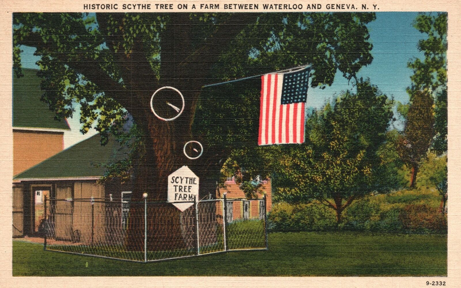 Vintage Postcard Historic Scythe Tree on Farm Waterloo and Geneva New ...