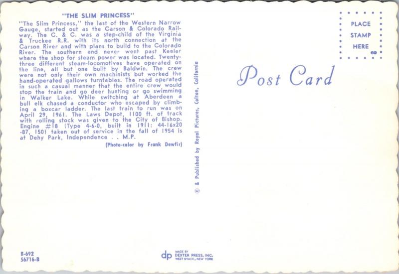 'The Slim Princess' Western Narrow Gauge Train C & C Locomotive ...