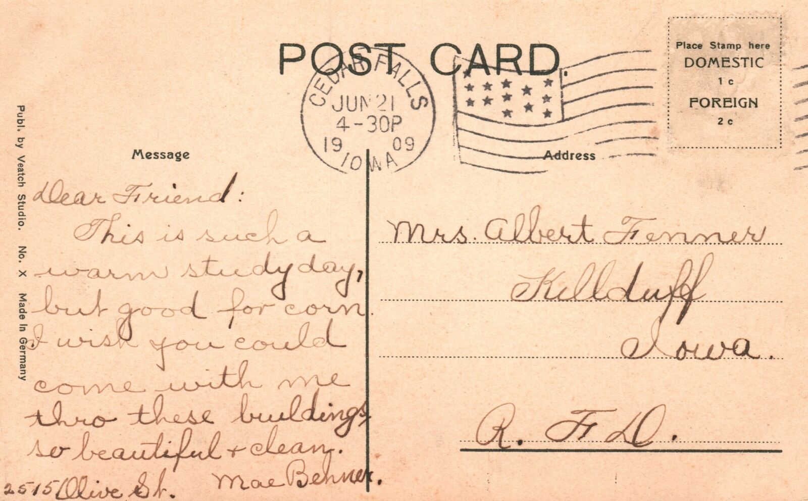 Vintage Postcard 1909 Northwest In First Slough Tall Trees River Cedar ...