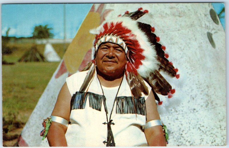 1960s Chippewa Tribe Indian Dance Interpreter Man Native American ...