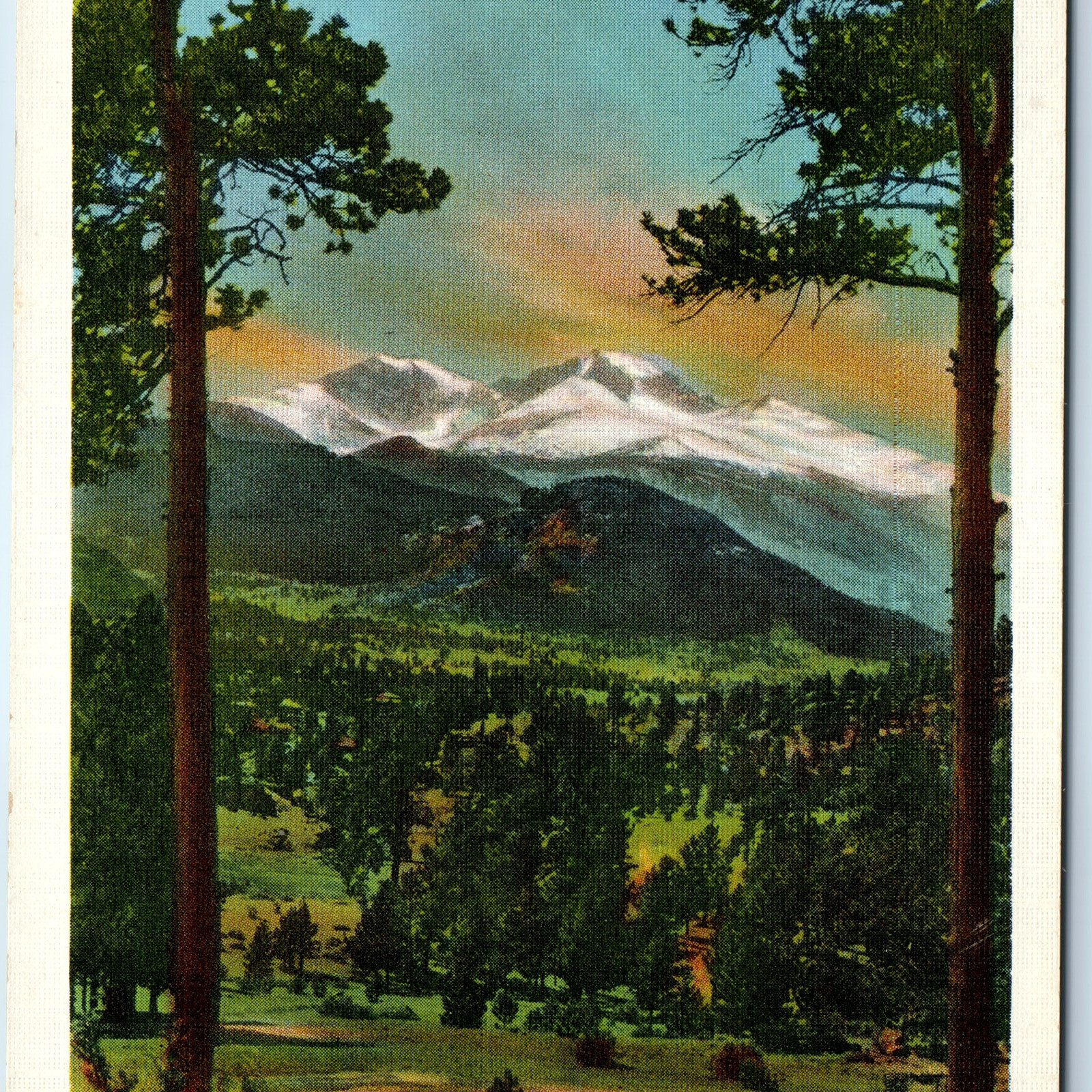 c1940s Estes Park, CO Longs Peak of Twin Trees Linen Photo Gerald ...