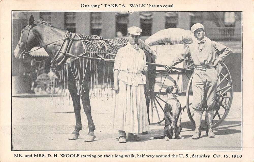 Mr and Mrs DH Woolf Starting their Walk with Dog Postcard AA18333 ...