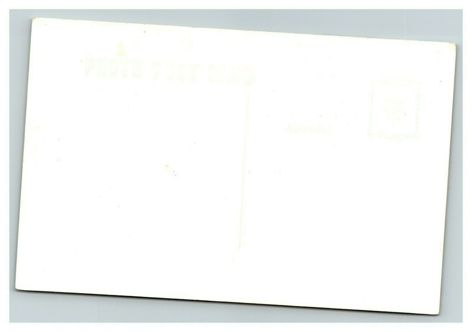 Vintage 1950's RPPC Postcard Ted Hustead's Cowboys Wall Drug Store Wall ...