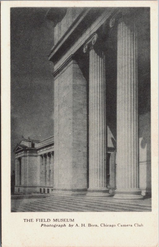The Field Museum Chicago Illinois Vintage Postcard C125 | United States ...