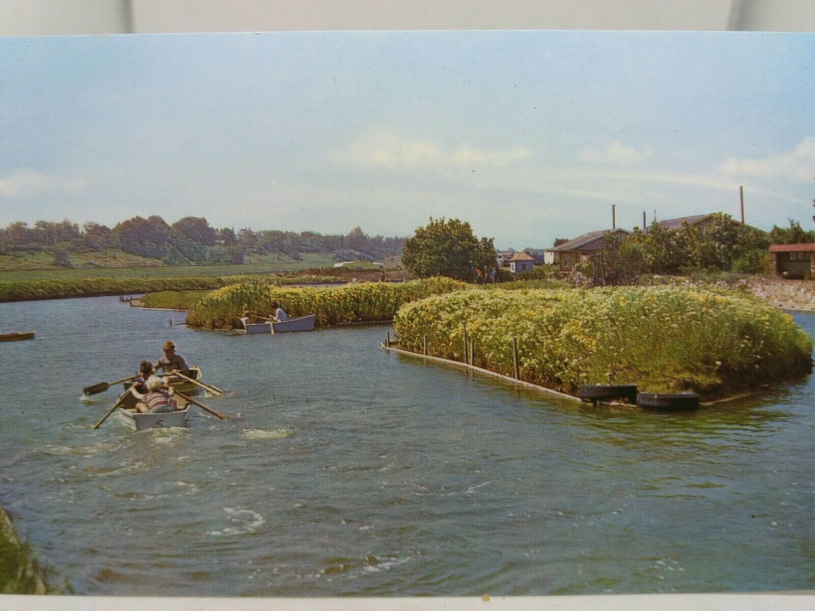 Vintage Postcard Children in Rowing Boats on the Boating Lake ...