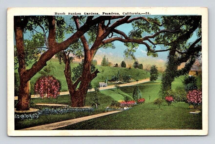 Pasadena California Busch Sunken Gardens White Border Postcard | United ...