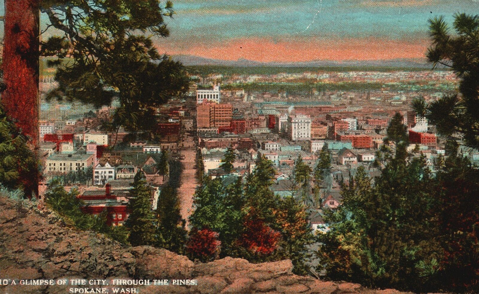 Vintage Postcard 1910's A Glimpse of City Through The Pines Spokane ...